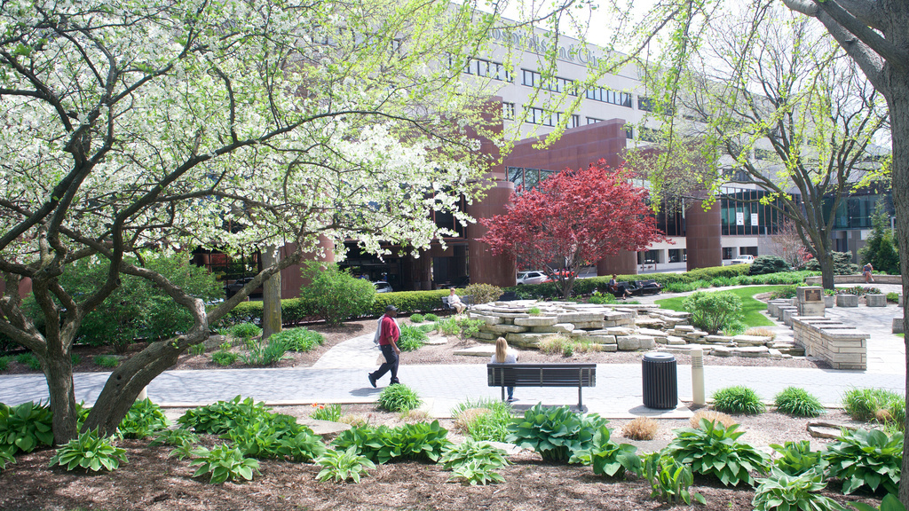 Emergency Medicine Residency | Department of Emergency Medicine ...